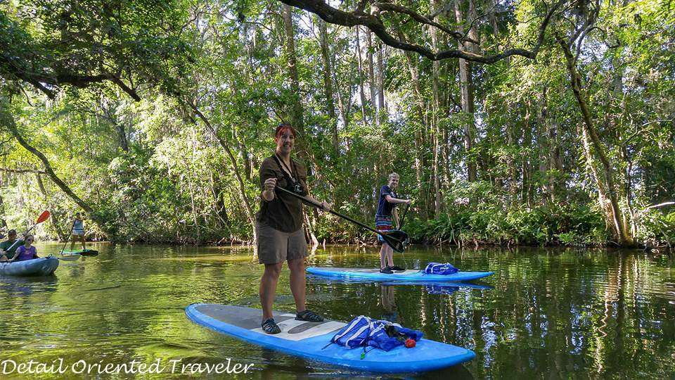 Stand Up Paddleboarding Adventure In Authentic Central Florida